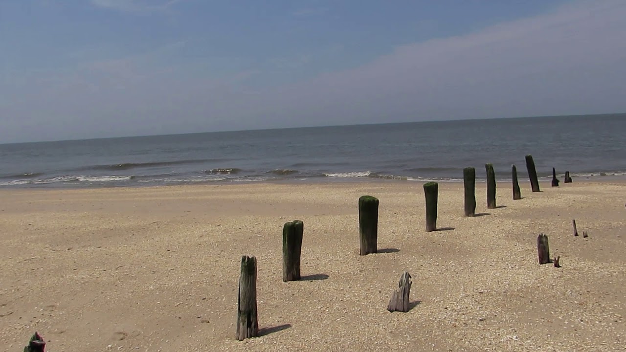 Higbee Beach; Cape May, New Jersey - YouTube