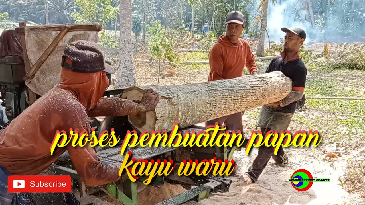 PROSES PEMBUATAN PAPAN KAYU WARU - YouTube