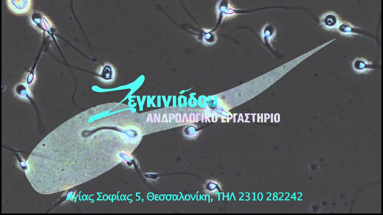 Σπερματοζωάρια με επιτόπια κίνηση - YouTube