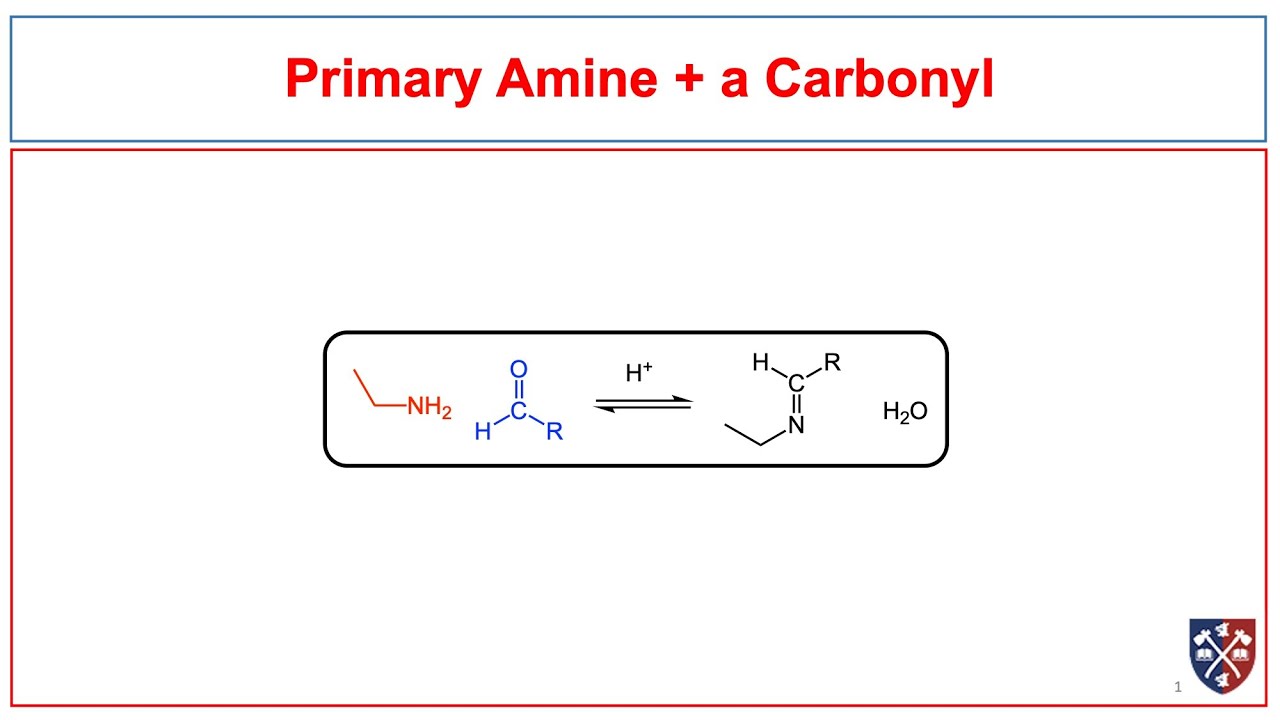 Primary Amine addition to Carbonyls/Aldehydes and Ketones/CHEM 2533 ...