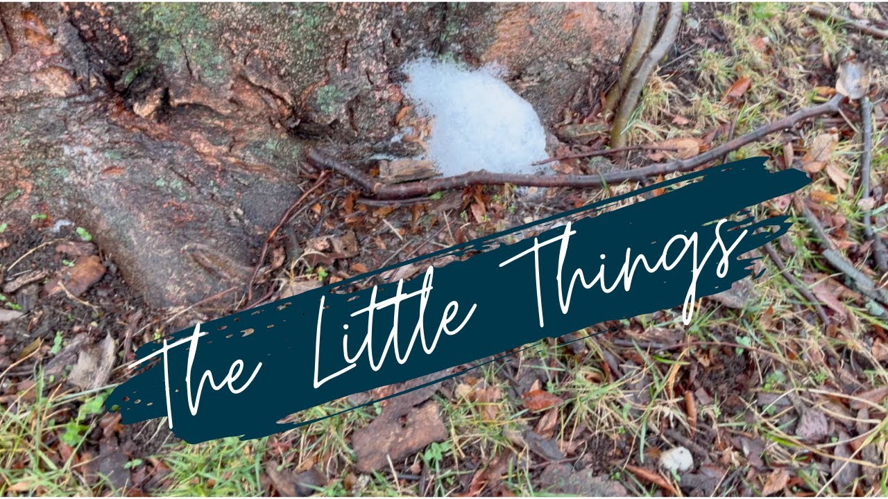 Noticing Little Things - YouTube