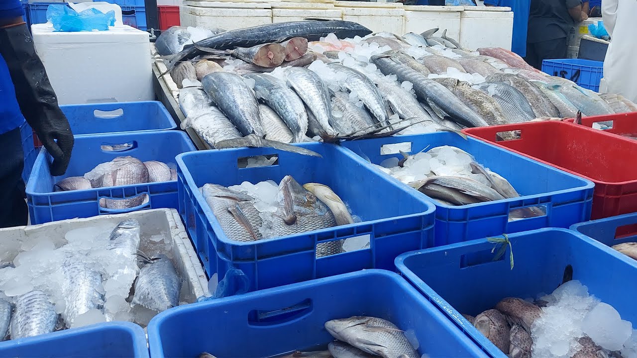 Exploring Riyadh's Meat Market - YouTube