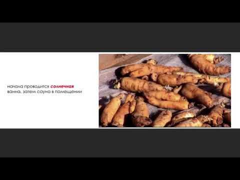 Белый императорский женьшень Бинг Хан - YouTube
