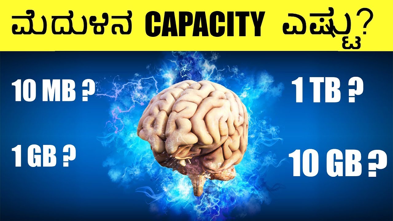 What Is The Memory Capacity Of A Human Brain In Kannada YouTube what-is-the-memory-capacity-of-a-human-brain-in-kannada-youtube