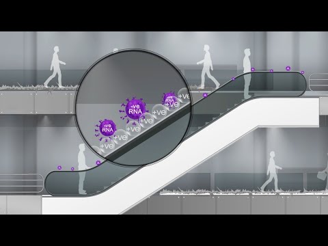 Introducing BR Shield | Biostatic Surface Protectant against COVID-19 ...