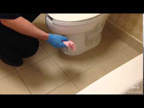 Wood Wyant - Professional Cleaning Series - Toilets - YouTube