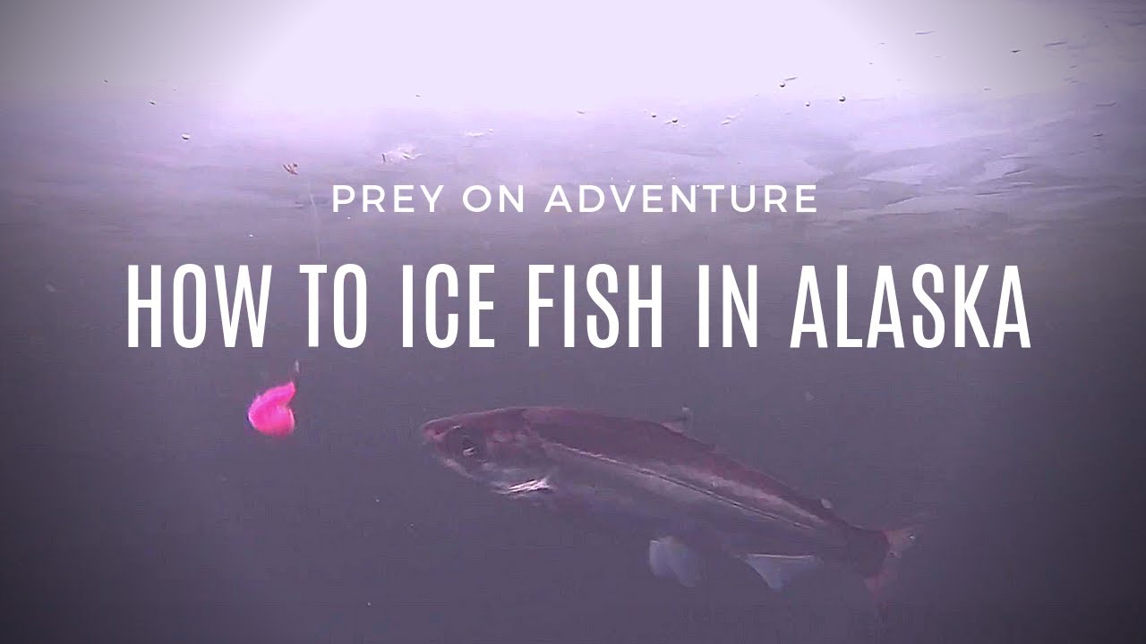 ICE FISHING ALASKA - HOW TO CATCH OVER 100 FISH! ICE FISHING SETUP ...