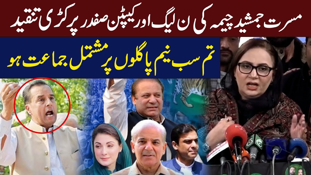 PTI Leader Musarrat Jamshed Cheema's strong criticism of PML-N and ...