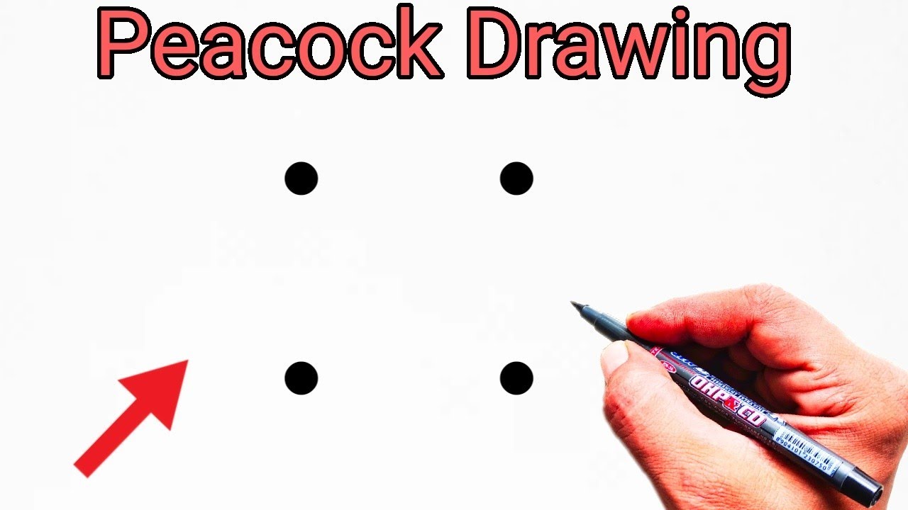 How to draw peacock drawing From 4 Dots || easy step for beginner's ...