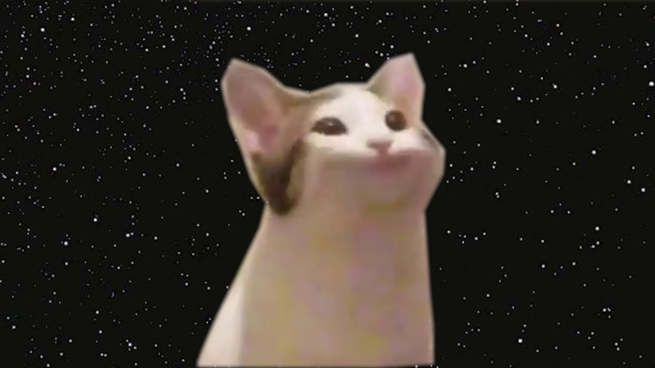 star wars pop cat - YouTube