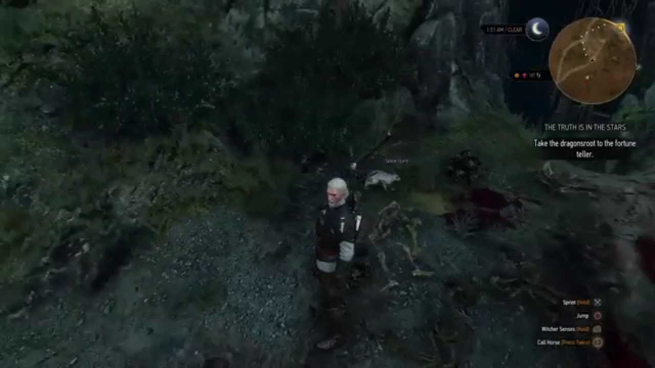 The Witcher 3: Holy Grail - The Killer Bunny Easter Egg - YouTube