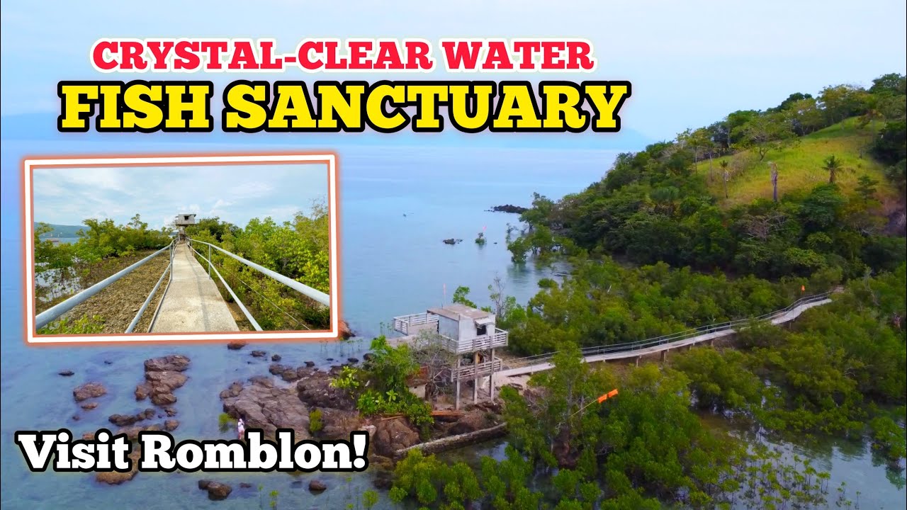 CRYSTAL-CLEAR WATER FISH SANCTUARY IN ROMBLON! - YouTube
