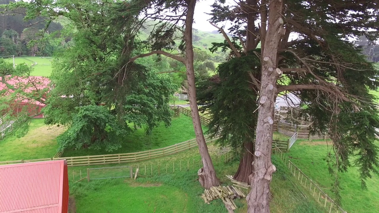 Battle Hill, New Zealand - YouTube