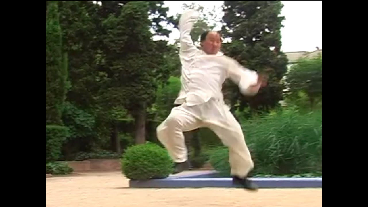 Hulei Taichi Chuan. Er Lu -fragmento- ZHANG SUISHENG 忽雷太极拳二路片段 - YouTube