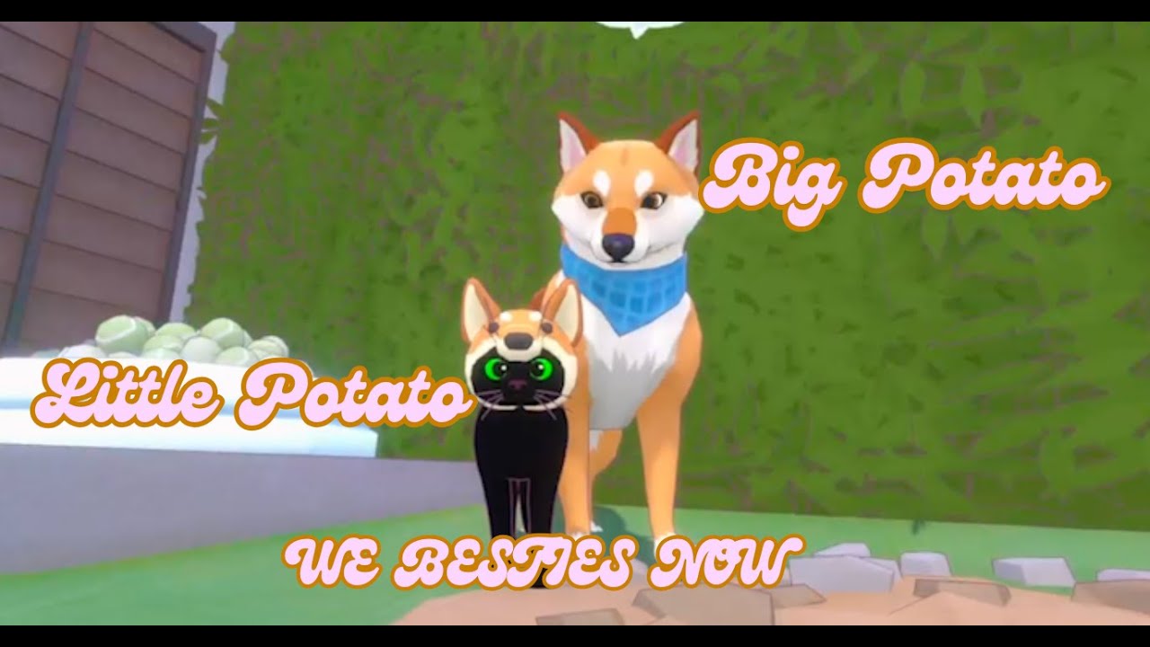 BIg Potato and Little Potato! - YouTube