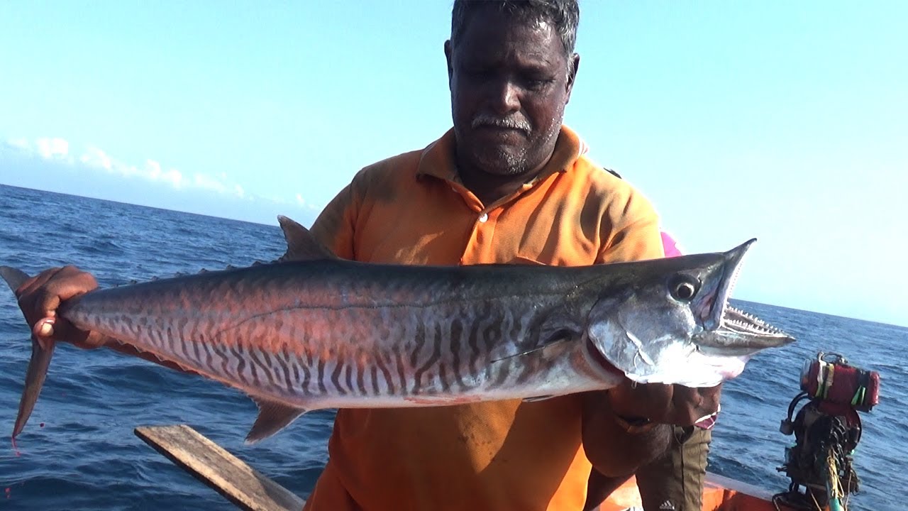 Monster Kingfish & Giant Trevally Fishing in deep sea - YouTube