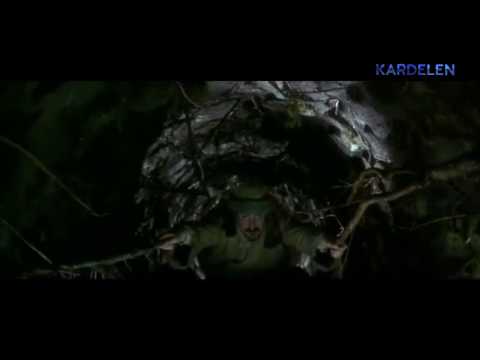 8. Söz | (1) Ölüm karşısındaki duruşu resmeden ve asırlardır birçok gelenekte yer alan bir hikâyecik