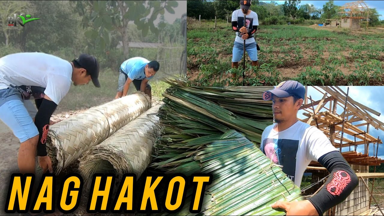 Ep.563- Pawid at sawali para Bahay kubo | bukids - YouTube