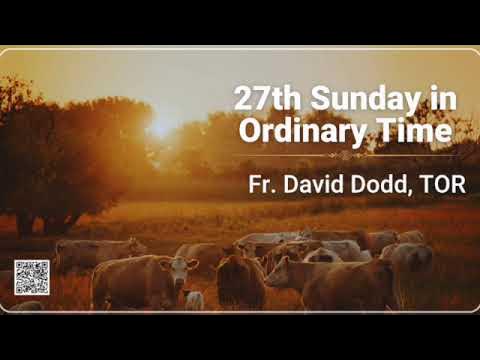 Homily 27th Sunday in Ordinary Time - YouTube