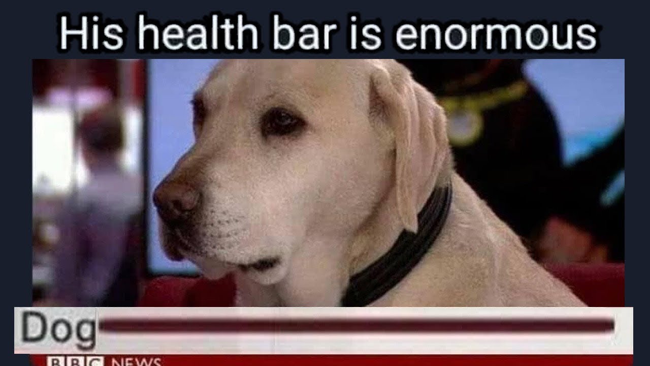 The Origin of Cheems - BLESSED IMAGES - YouTube