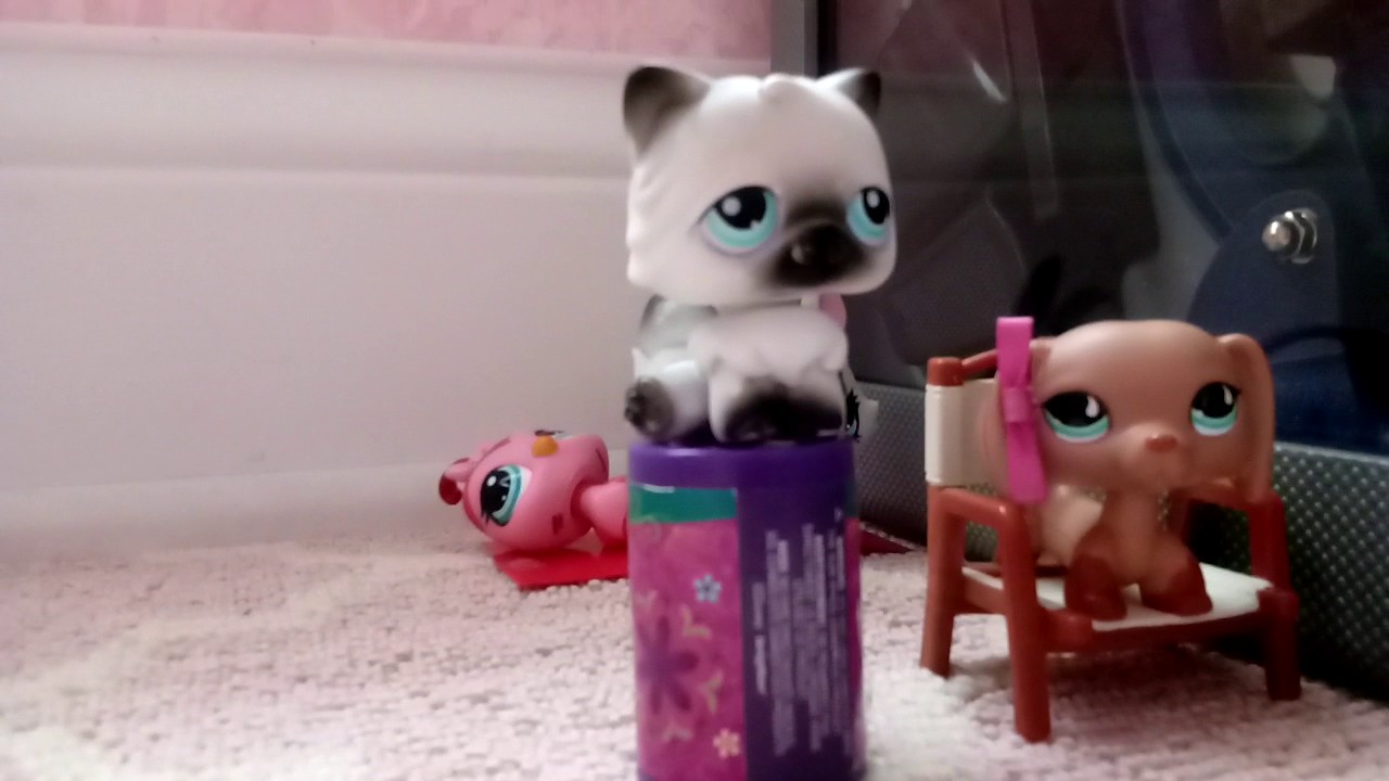 Part 1 on the 66 hour airplane ride - YouTube