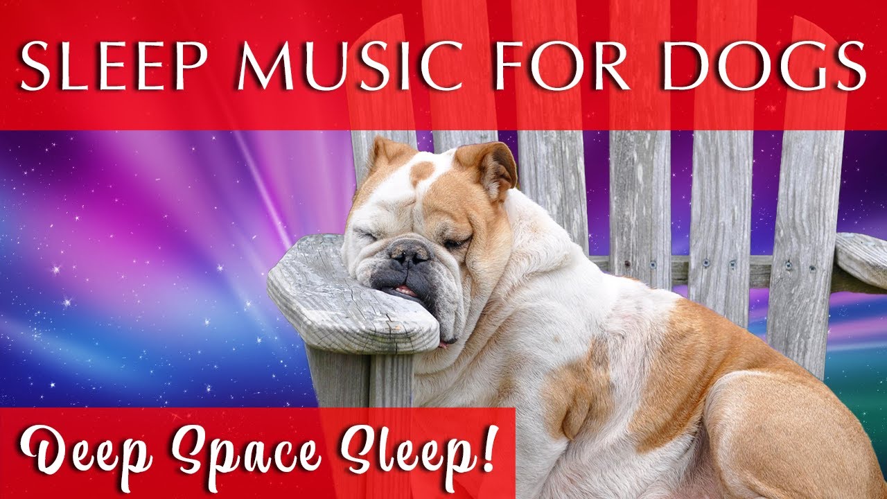 12 HOURS Soothing Music For Dogs To Sleep 432 Hz Music For Dogs YouTube 12-hours-soothing-music-for-dogs-to-sleep-432-hz-music-for-dogs-youtube