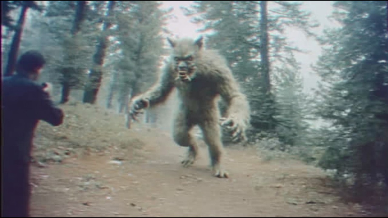 The Missing Hiker’s Final Footage—After a Terrifying Dogman Encounter ...