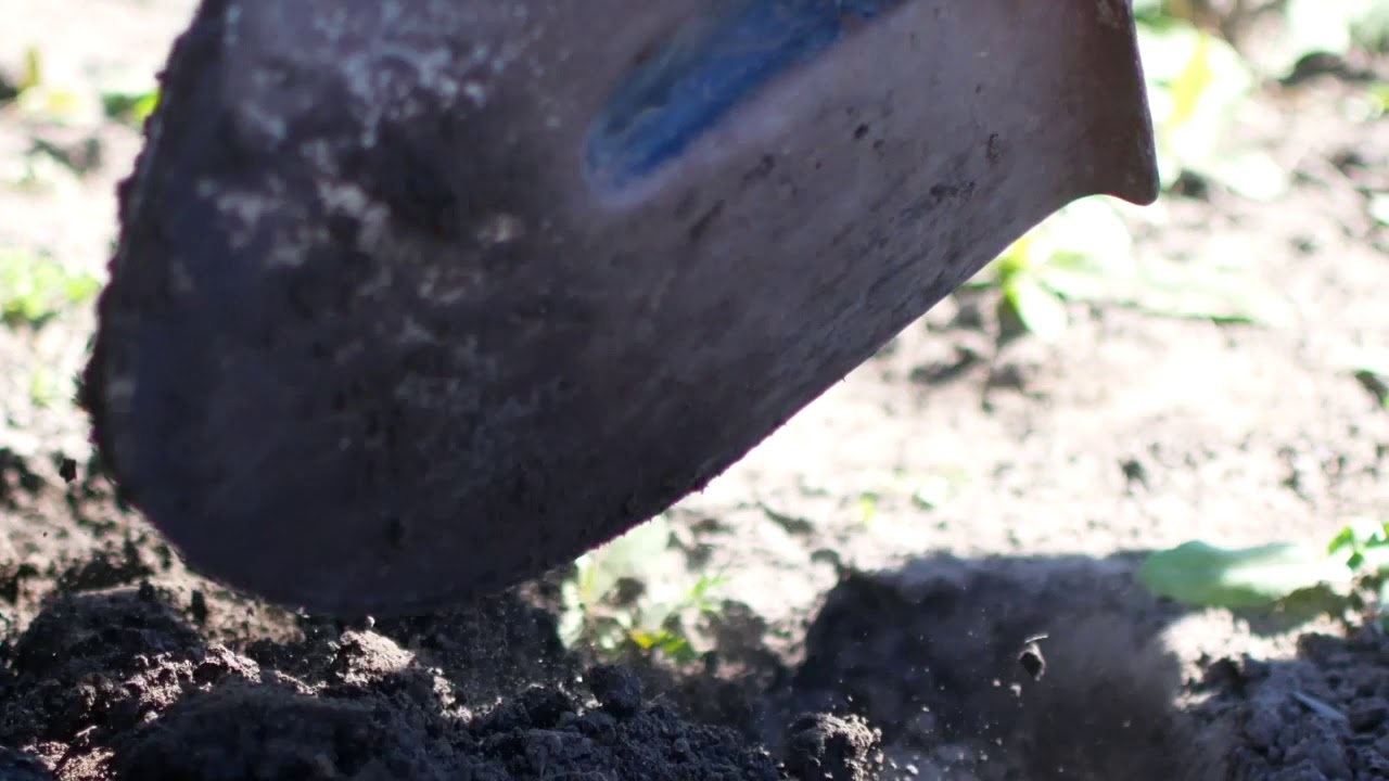 The Garden | Welcome to Seattle Revival Center - YouTube