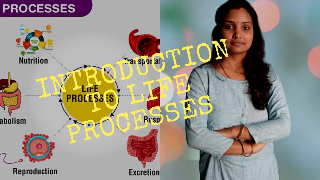 Introduction to life processes class10 part1#science#biology#ncert# ...