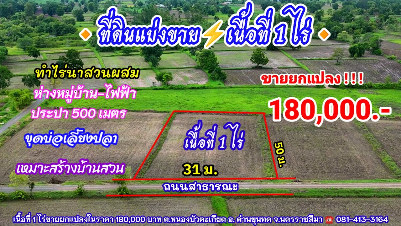 Ep.1541 ที่ดินแบ่งขาย ราคาถูก เนื้อที่ 1 ไร่ ขายยกแปลง 180,000.- อ.ด่าน ...