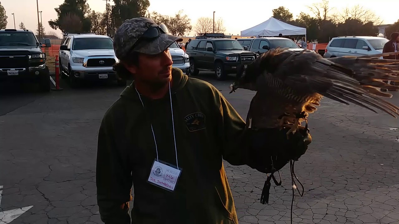*JOE SUFFREDINI W/GOSHAWK-CHC MEET* - YouTube