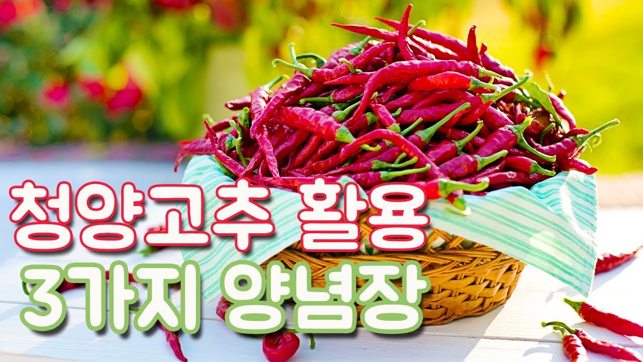 청양고추 활용하기 : 청양고추 3가지 양념장 / Cheongyang Red Pepper |요알남 Mingstar - YouTube