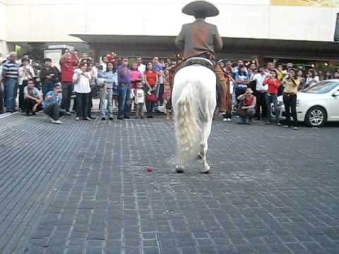 two mexican horses are dancing - YouTube