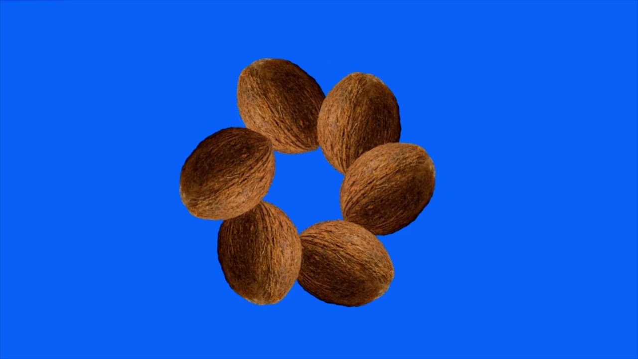 Coconut green screen Coconut fruit Blue screen Background Free download ...