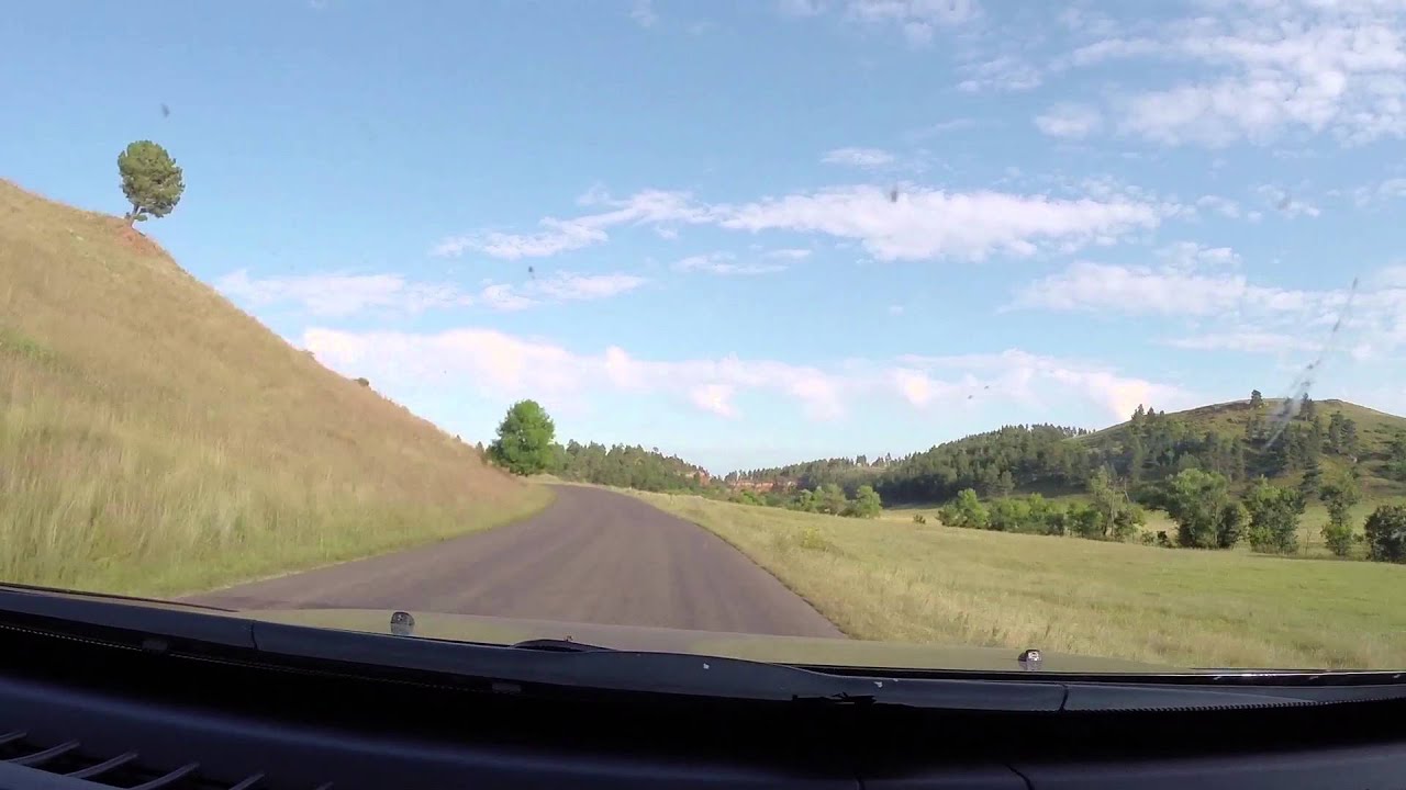 Wildlife Loop, Custer State Park - YouTube