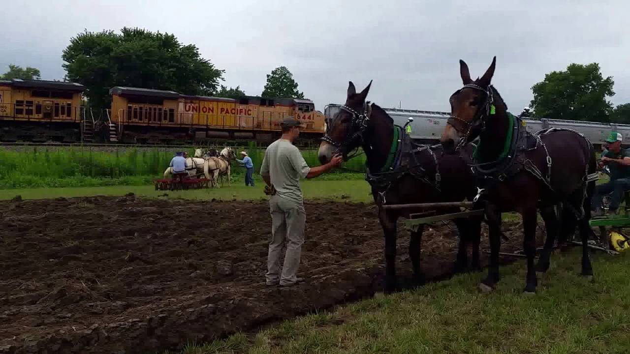 Valmeyer,IL Old time farming and modern UP Freight - YouTube