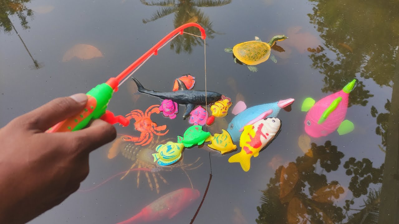 Memancing Mainan Ikan Di Kolam, Ikan Hias, Ikan Cupang, Ikan Nemo, Ikan ...