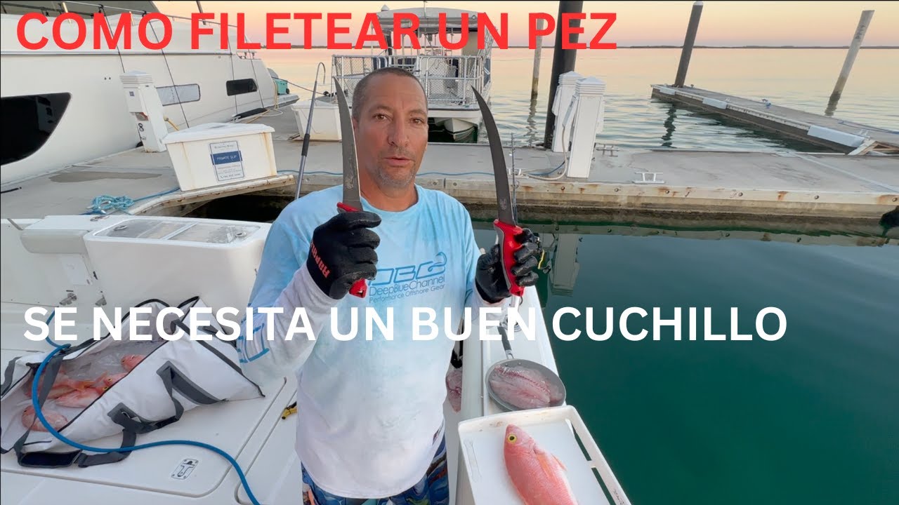 COMO FILETEAR UN PEZ - YouTube