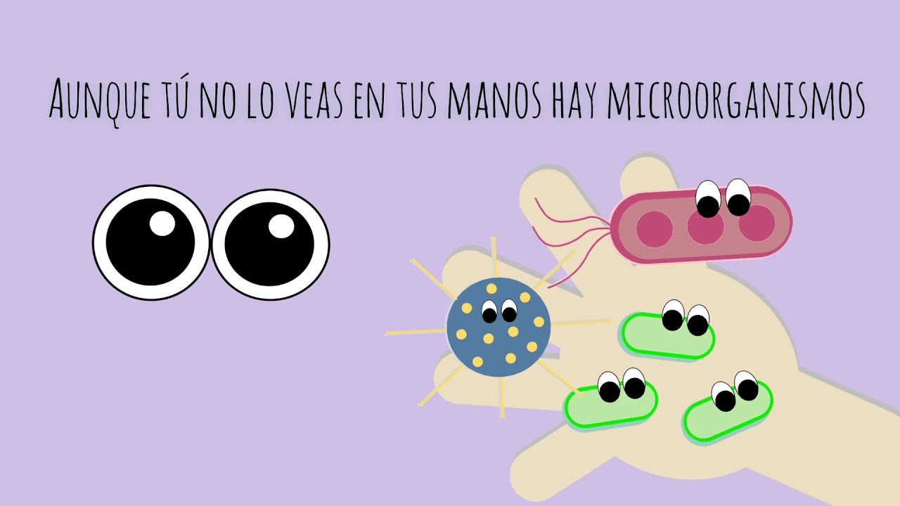 Experimento ¿bacterias Virus Y Hongos En Tus Manos Ciencia Para