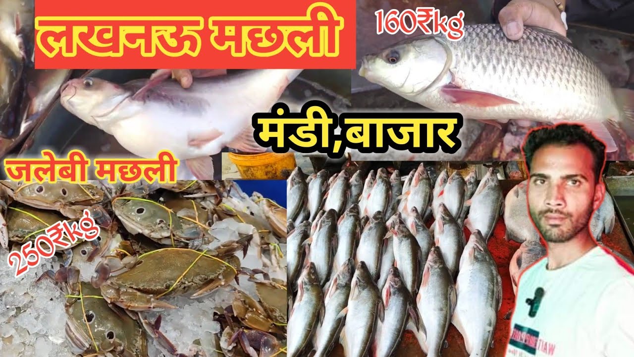 लखनऊ मछली मंडी || lucknow ki machli bazar ||800₹Kg machli # ...
