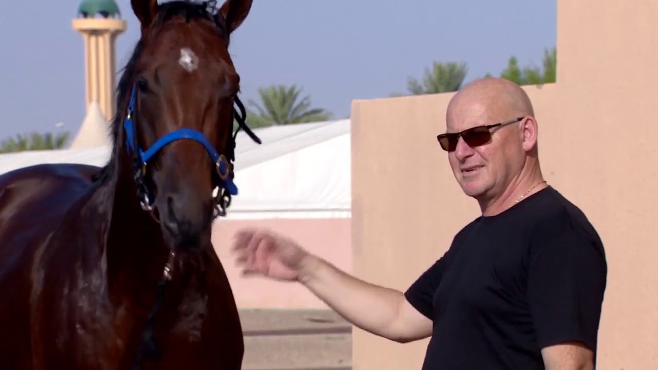 TR.Danny Murphy - YouTube