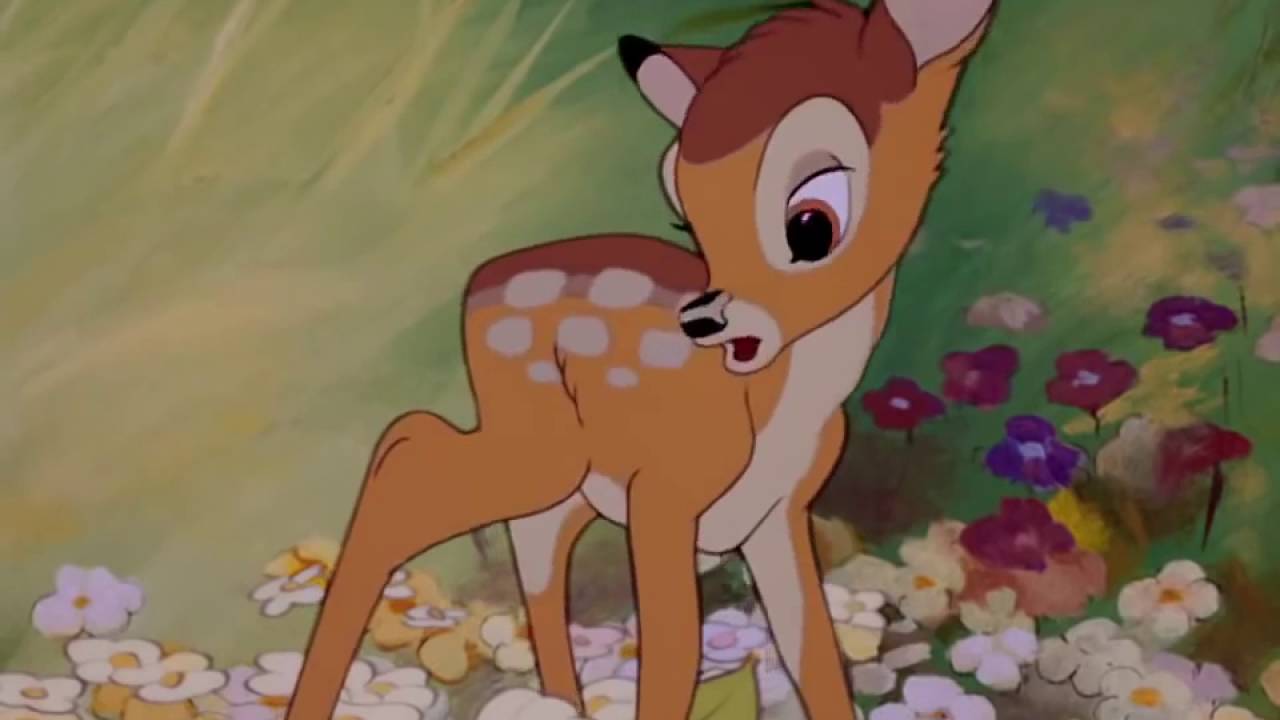 Descubre Qué Animal Es Bambi Y Su Origen Con Esta Guía Completa – BGZD