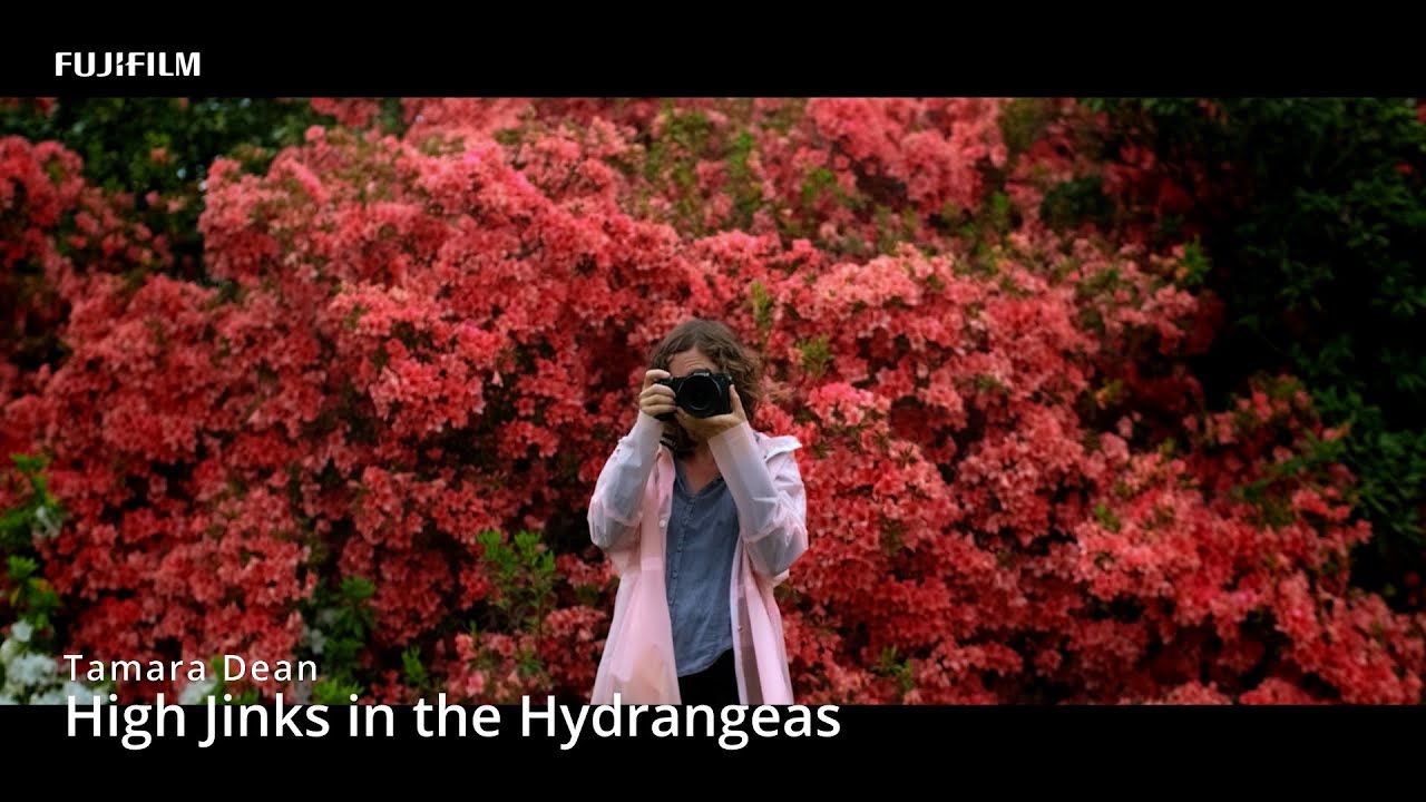 GFX100S: "High Jinks in the Hydrangeas" x Tamara Dean / FUJIFILM - YouTube