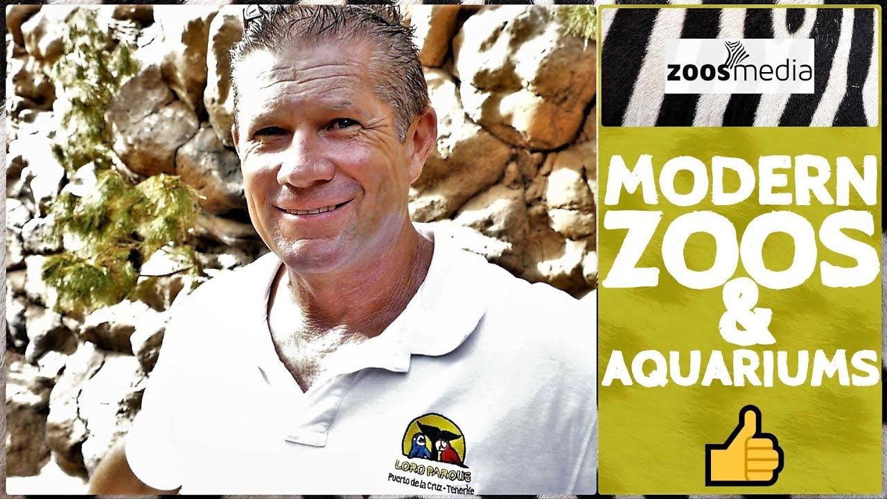 Loro Parque: Tony Greenwoods über MODERNE ZOOS 🦁 | zoos.media - YouTube