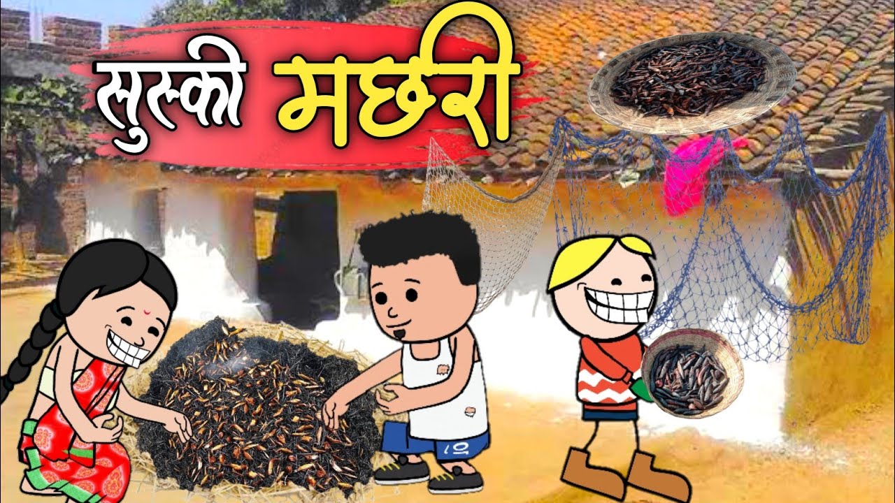 सुस्की मछरी 😁 || भुजी मछरी 🐬 || छत्तीसगढ़ी कॉमेडी || cg cartoon comedy ...