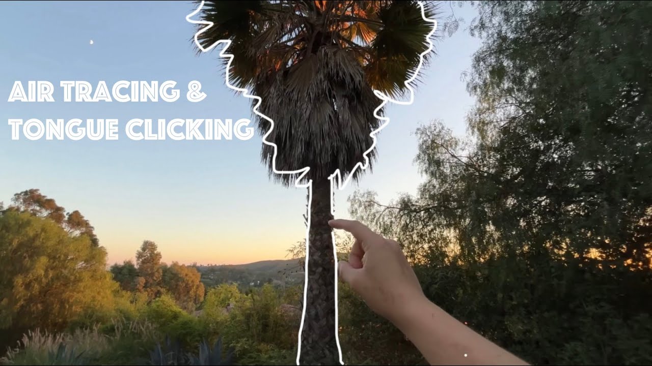 ASMR: Air Tracing, Tongue Clicking & Camera Tapping 🙉 - YouTube