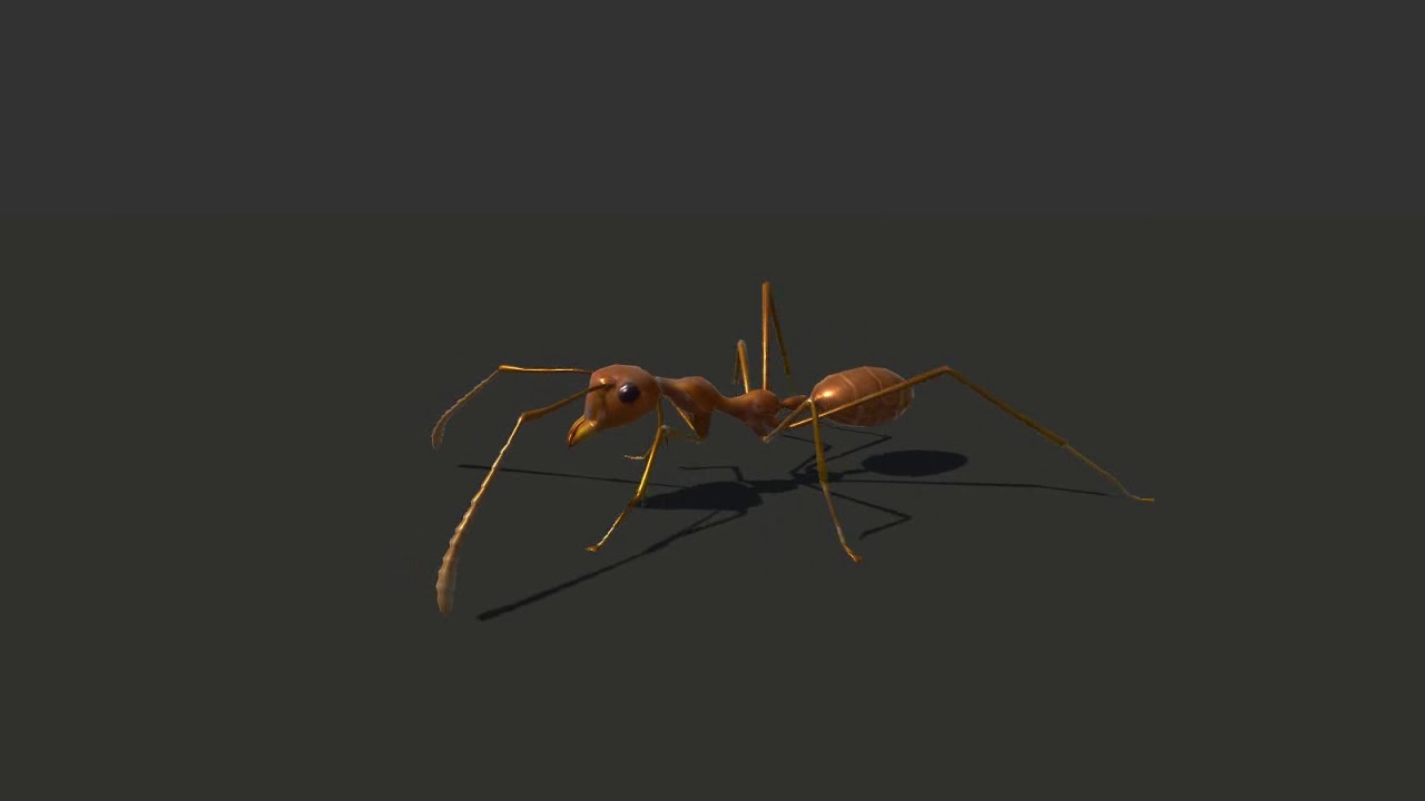 Ant Animations Demo - YouTube