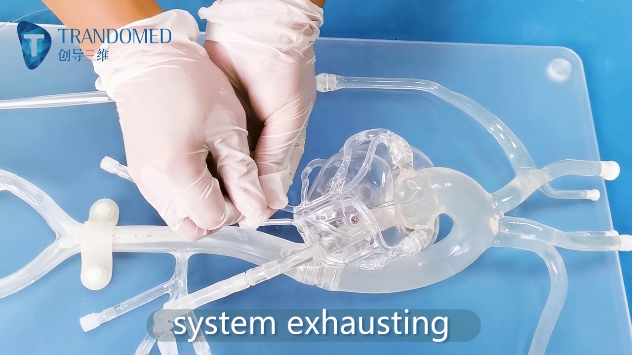 Silicone Coronary Artery Model for Catheter Deployment Training - YouTube