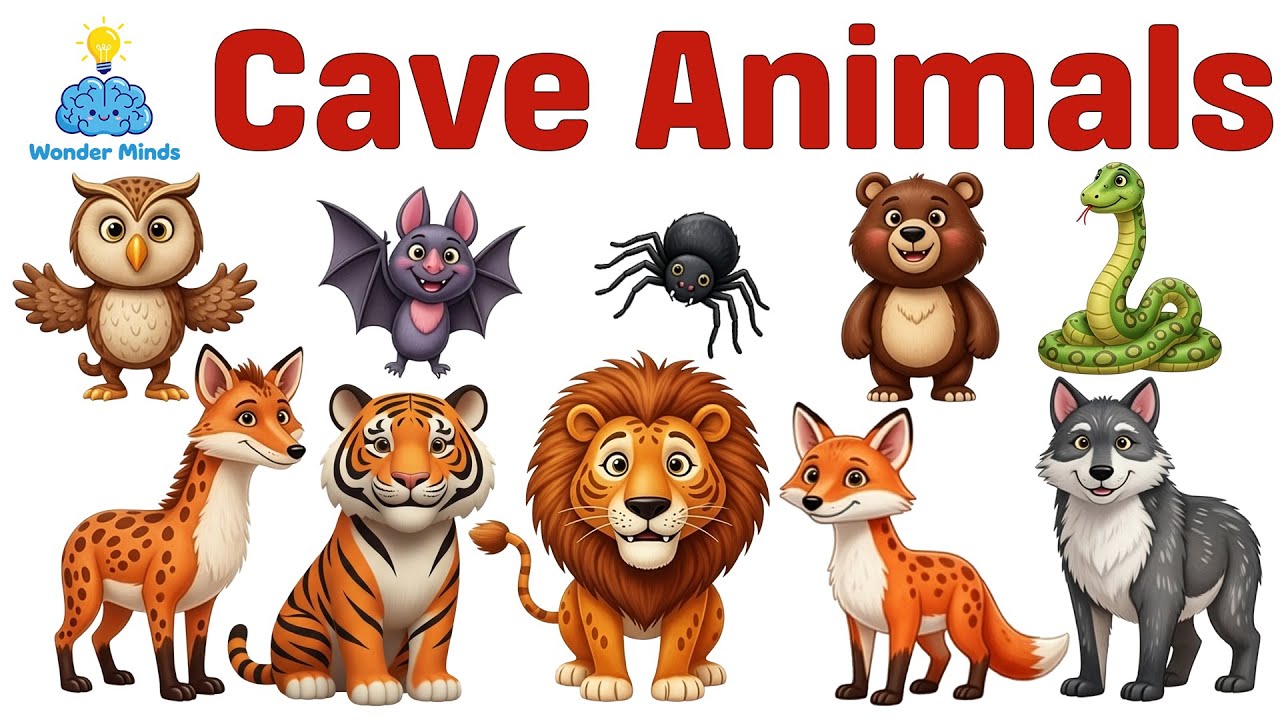 Cave Animals for Kids | Learn Cave Animal Names & Fun Facts # ...