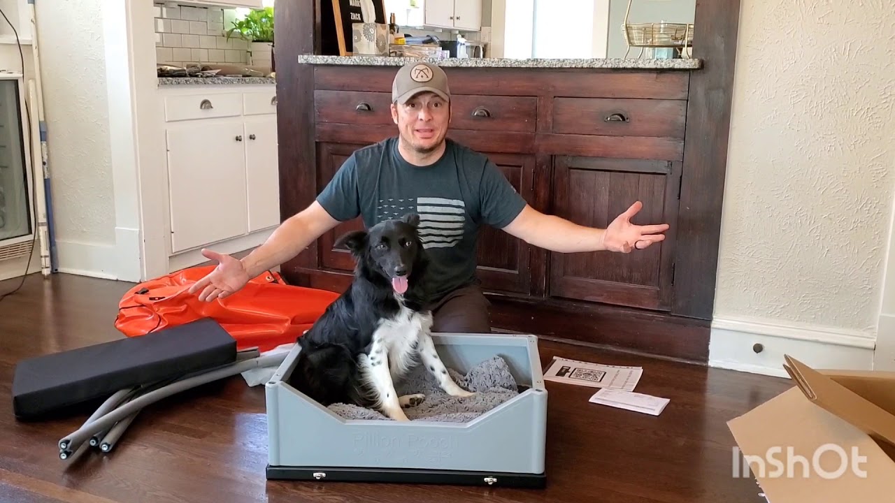 Pillion Pooch unboxing and dog training introduction. - YouTube